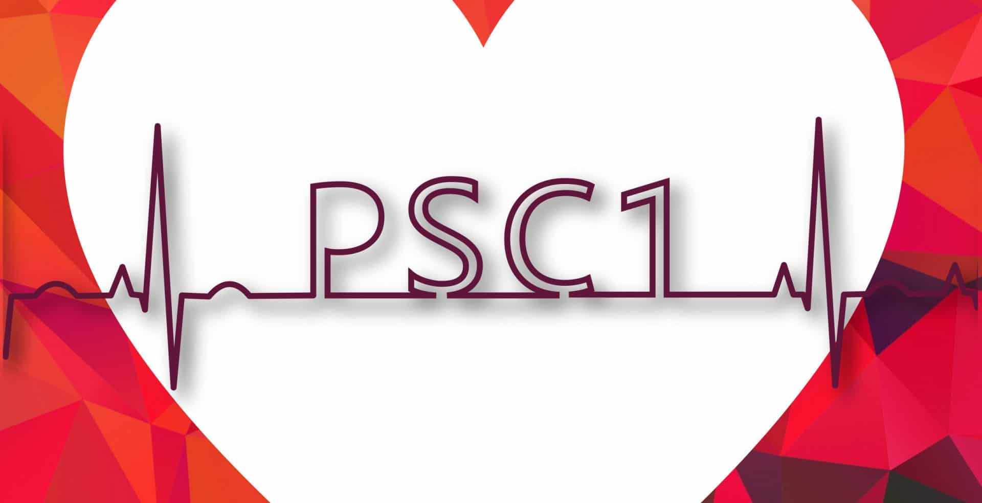 Formation PSC1 dans les Côtes-d'Armor - Comité de Bretagne de Cyclisme